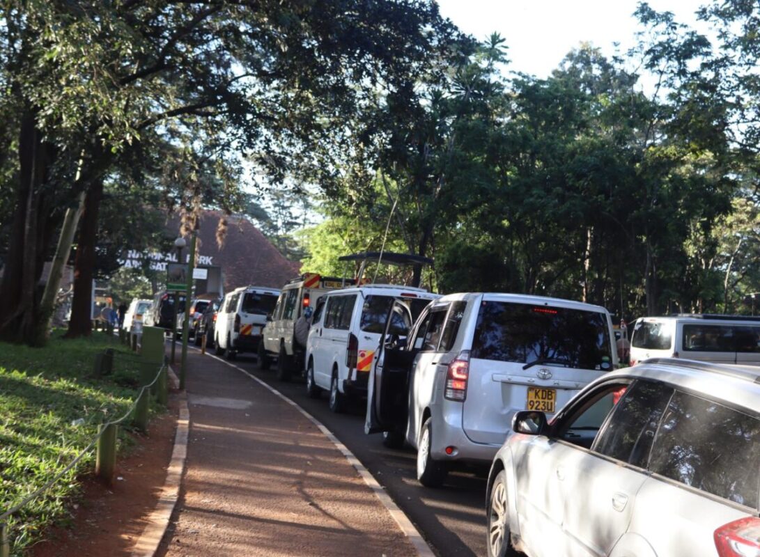 New KWS Park Entry Fees Effective from 1st October 2025 | Olengugih Safaris